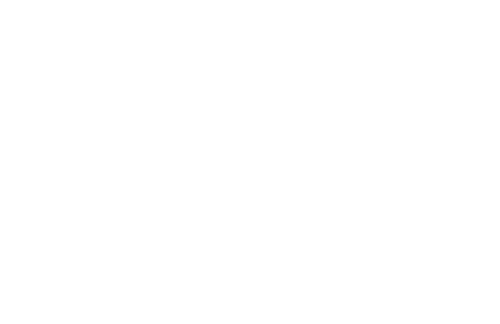 Project Fortis -UK1 - DPRTE